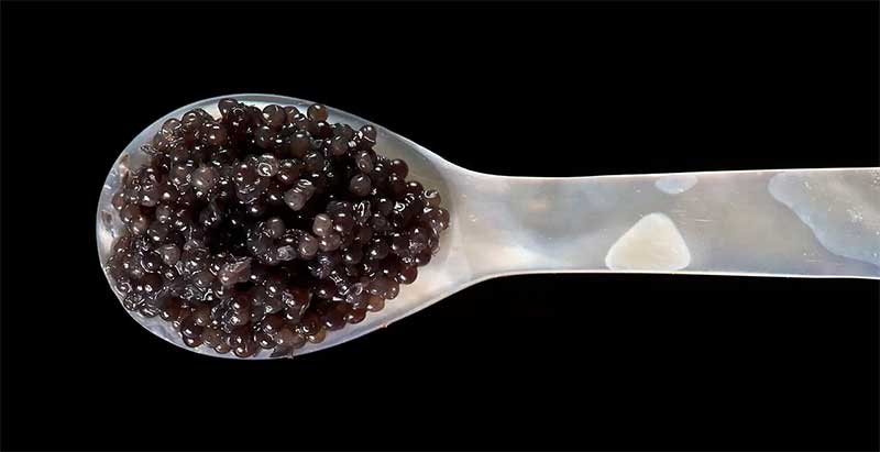 Le Roi Du Caviar - Preturi Caviar Romania - Calitate Premium